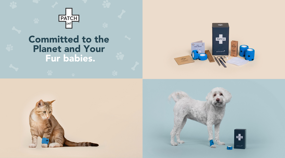 4 Reasons Why PATCH PET Is the Ultimate First-Aid Solution for All Pet – Nutricare