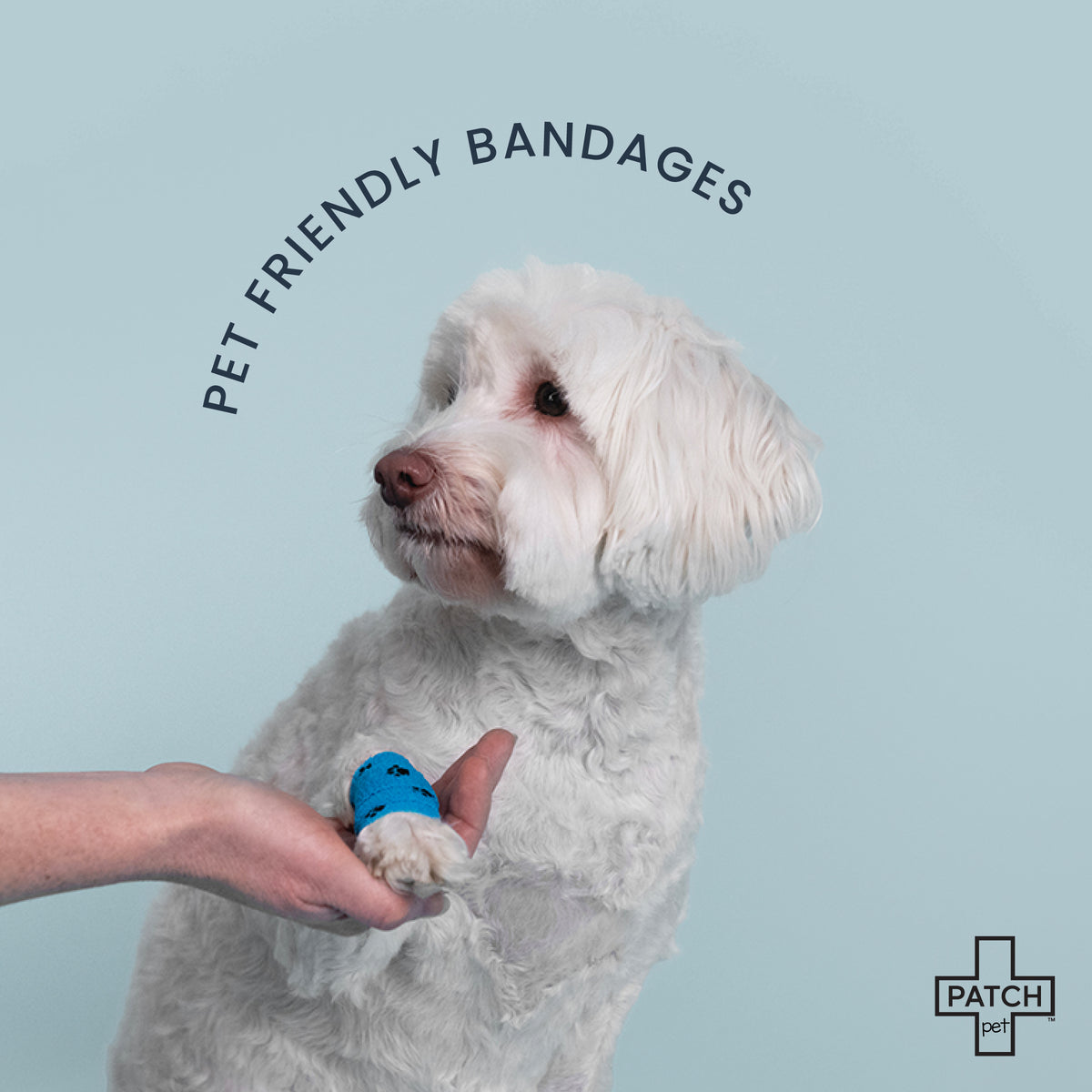 PATCH Pet Eco First-Aid Kit for Pets – Nutricare